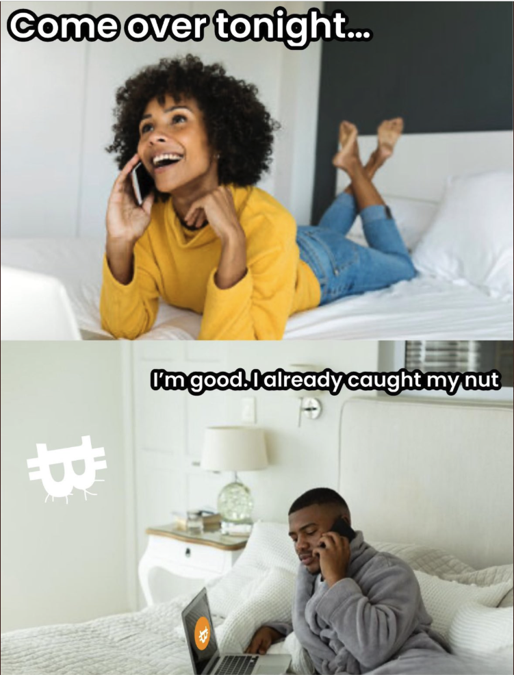 NUTCOIN - The Ballsy New Coin on Solana!